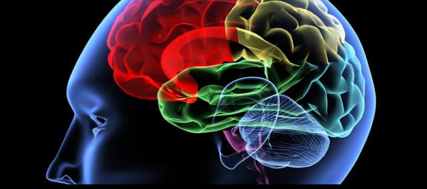 Login - Tracking System